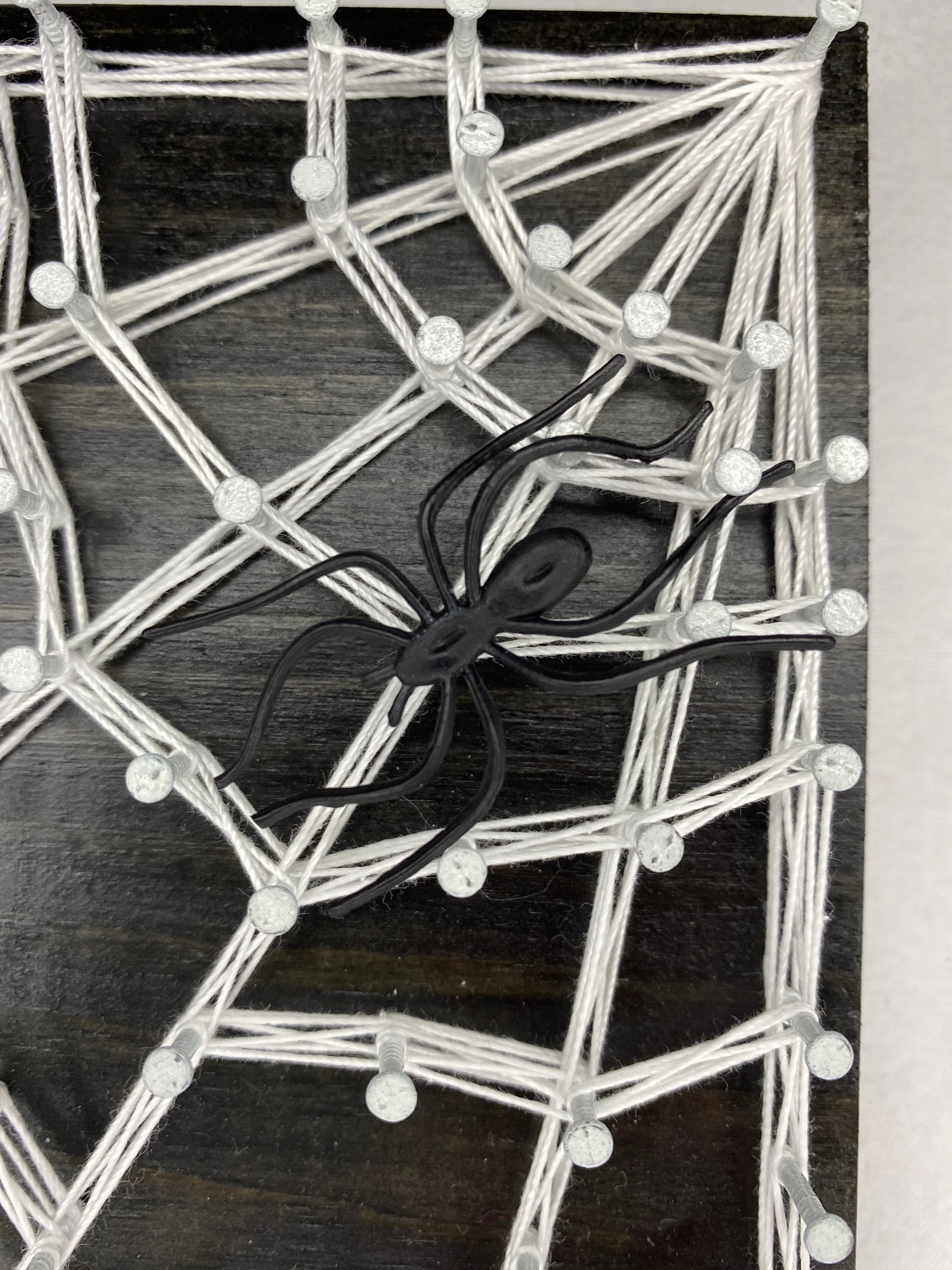 Spider Web String Art Wooden Sign With Plastic Spider - Etsy