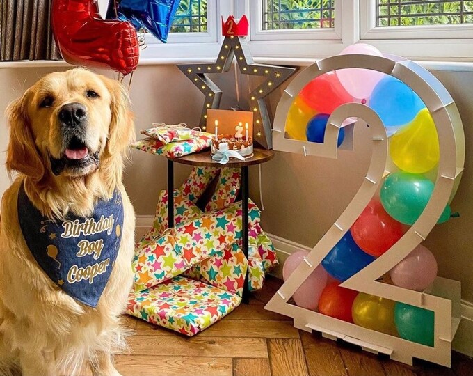 DIY Balloon Mosaic Number 6 Stand, Balloon Mosaic Frame 6th 16th ...