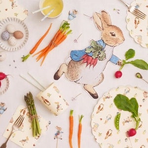 Peter Rabbit Party Napkins X 16, Peter Rabbit in the Garden Small ...