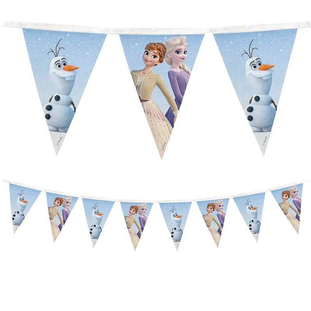 Disney Frozen Party Reusable Flag Banner, Frozen Party Supplies, Frozen ...