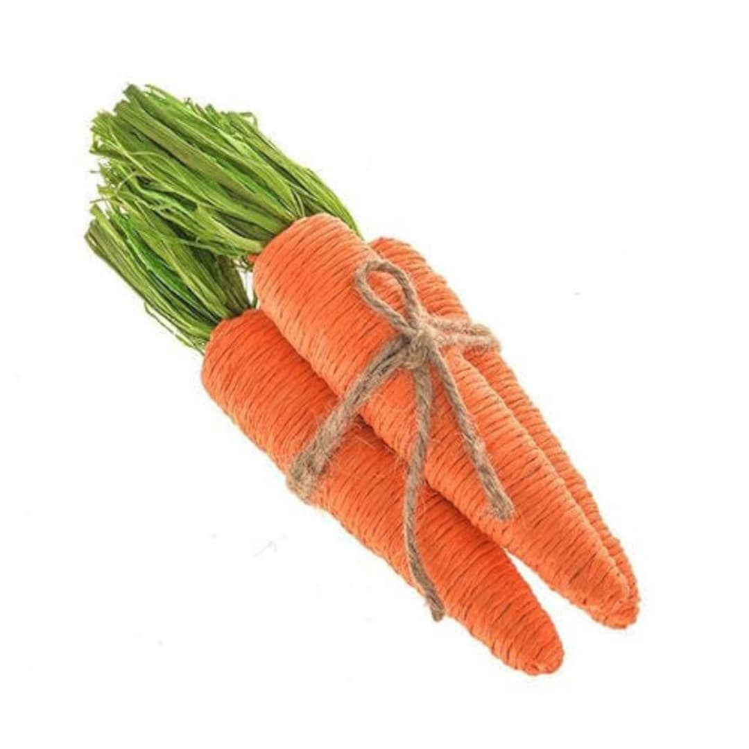 Artificial Carrot Bundle X 3 Farm Birthday Party Decorations - Etsy