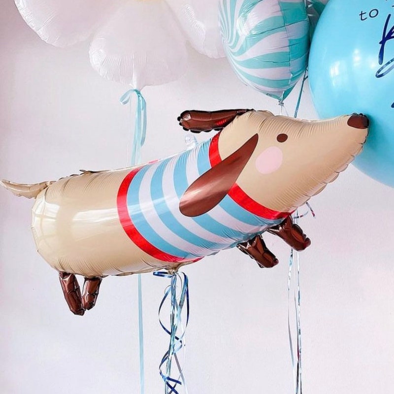 Sausage Dog Balloon - Etsy UK