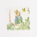 Peter Rabbit Party Napkins X 16, Peter Rabbit in the Garden Large ...