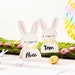 Easter Bunny Place Cards 10 Pack, Easter Table Setting Name Cards - Etsy
