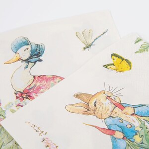 Peter Rabbit Party Napkins X 16, Peter Rabbit in the Garden Large ...