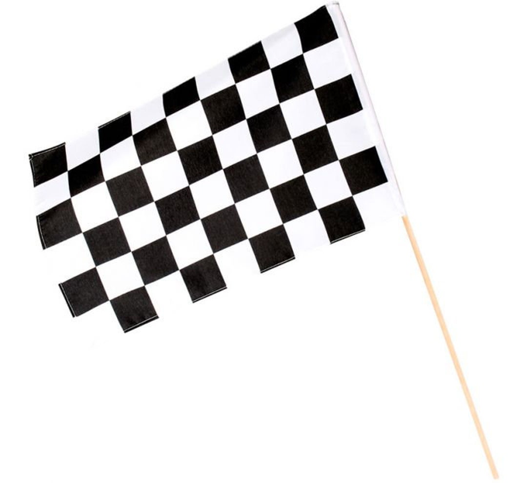 Racing Party Chequered Hand Flag, Race Car Birthday Party Supplies ...