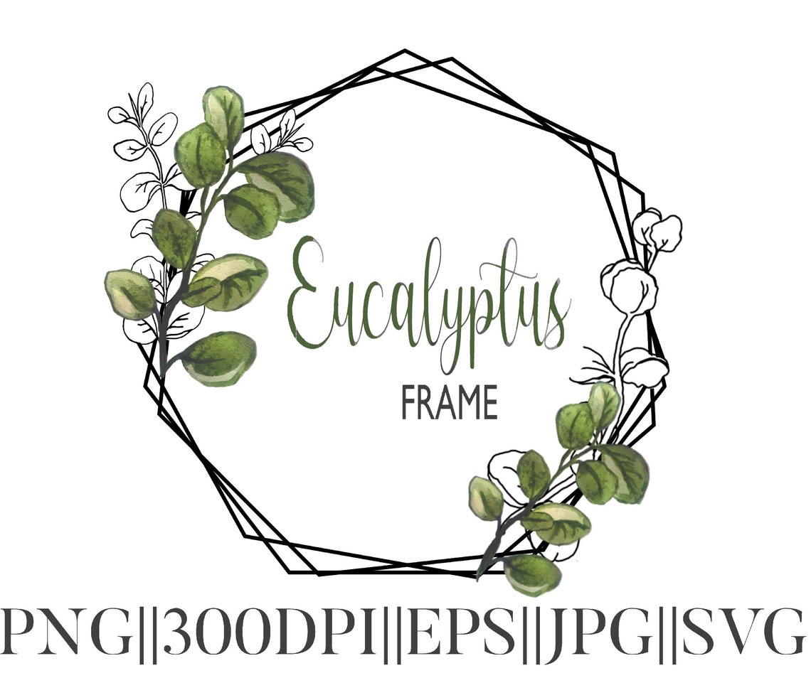 Watercolor Eucalyptus Frame Svg Floral Watercolor Frame Png - Etsy