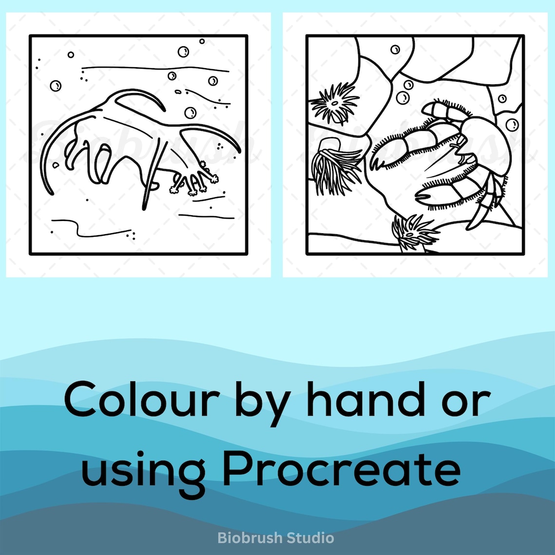 Deep Sea Exploration Colouring Book | Bold Easy Colouring Pages Ocean ...