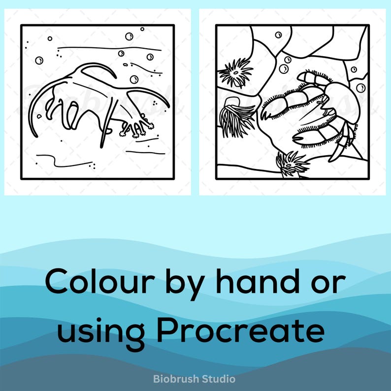 Deep Sea Exploration Colouring Book | Bold Easy Colouring Pages Ocean ...