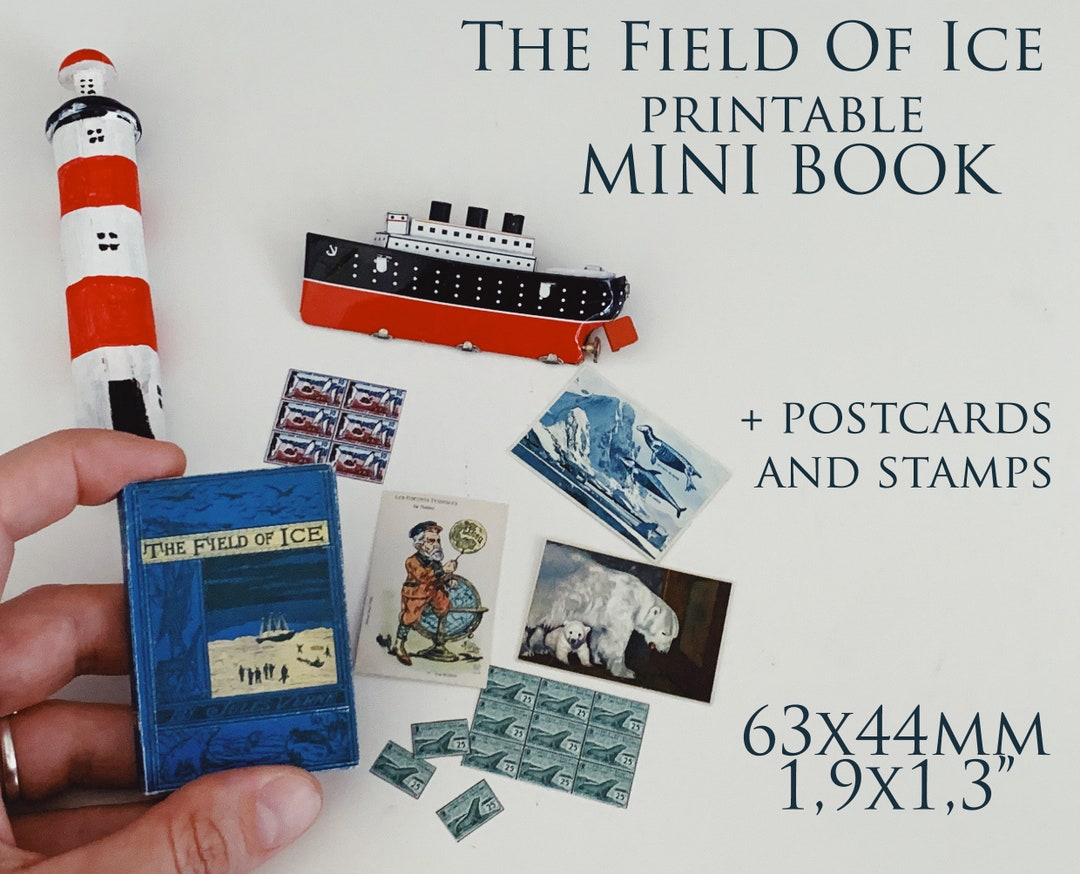 Mini BJD Doll Book the Field of Ice Printable Digital Download - Etsy