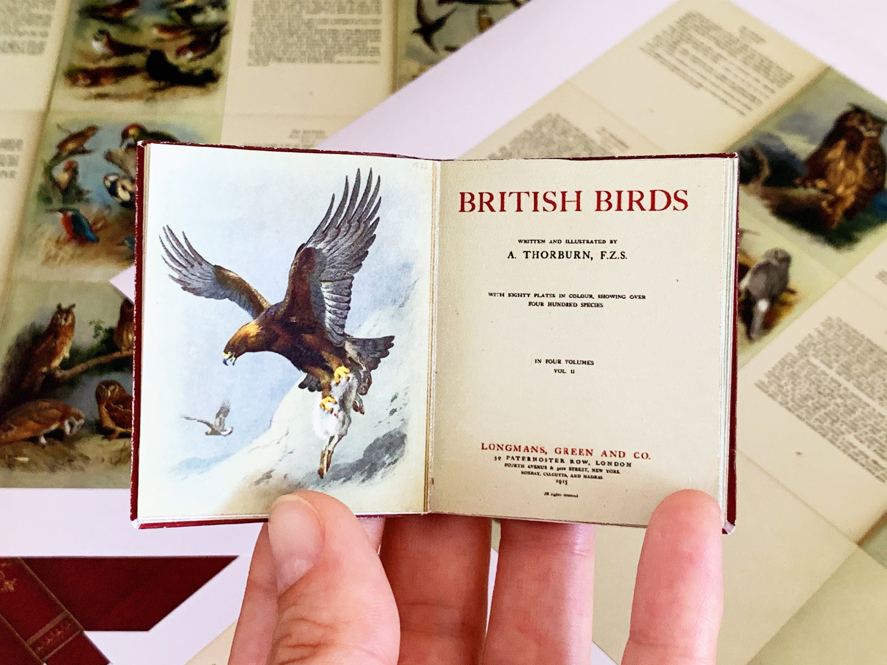 British Birds Mini BJD Doll Book Printable Download, Dollhouse Props - Etsy