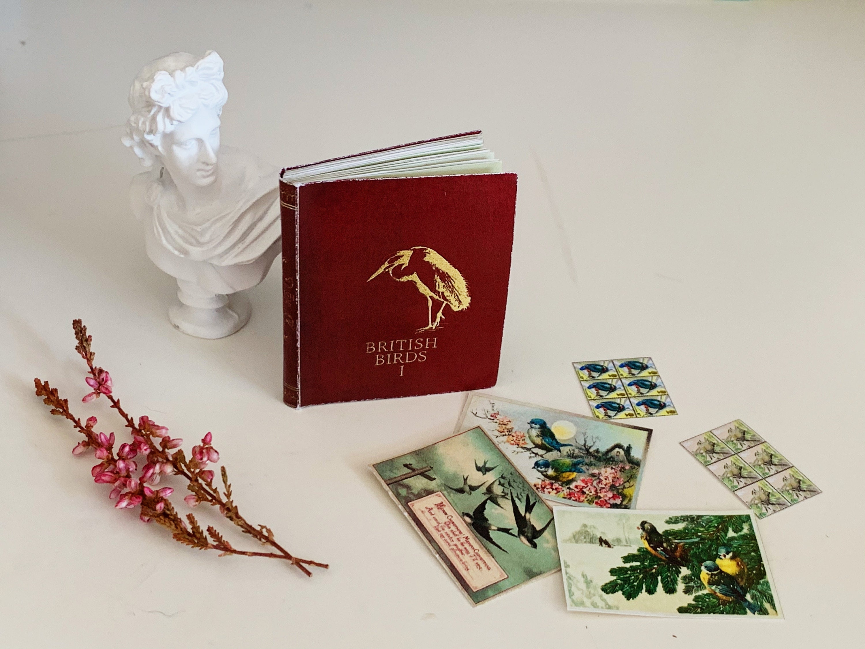 British Birds Mini BJD Doll Book Printable Download, Dollhouse Props - Etsy