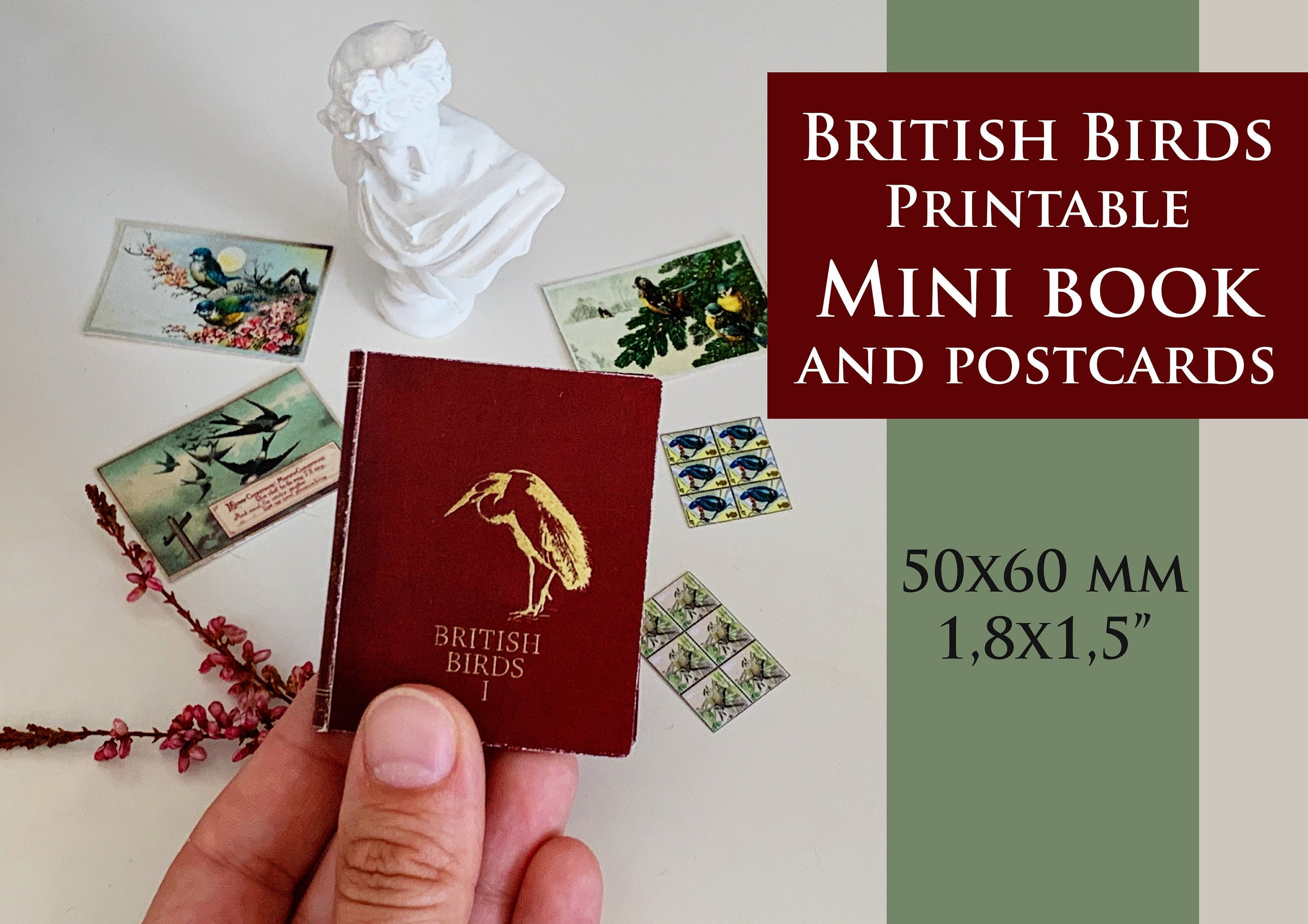British Birds Mini BJD Doll Book Printable Download, Dollhouse Props - Etsy