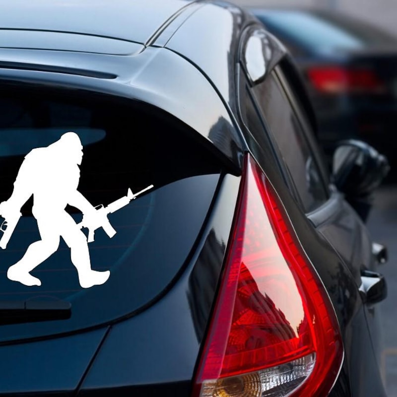 Car Window Decals Funny - Etsy