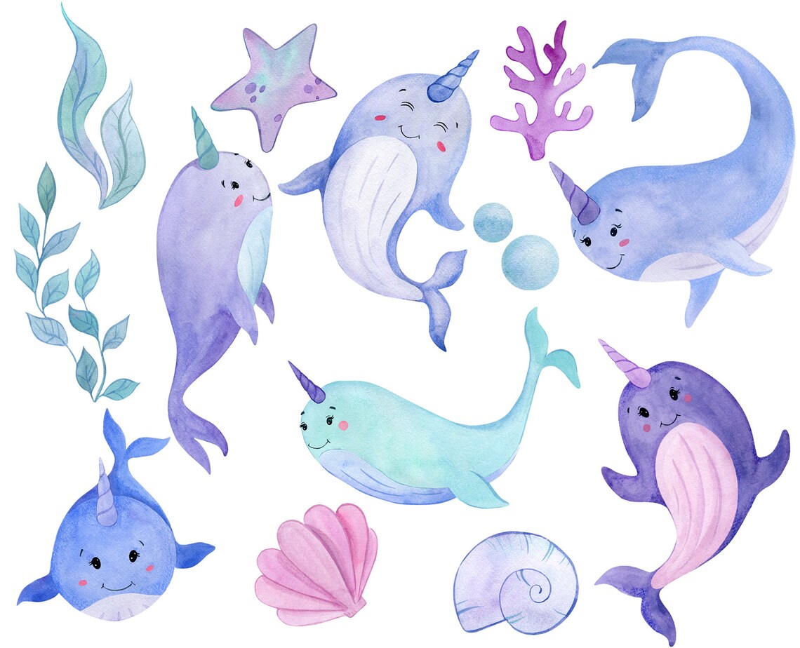 Narwhal Clipart Watercolor Cute Nursery Ocean Clip Art | Etsy