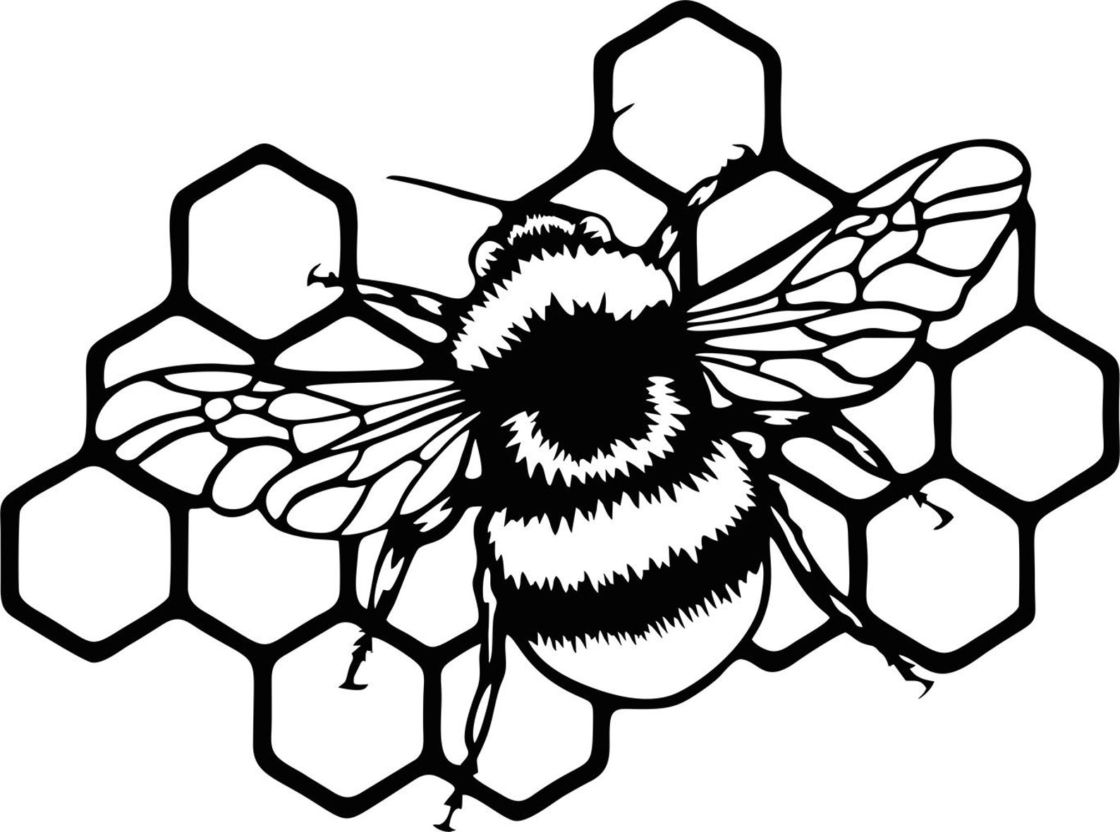 Honeycomb Bumble Bee SVG Clipart Vector INSTANT DOWNLOAD File Laser Cut ...