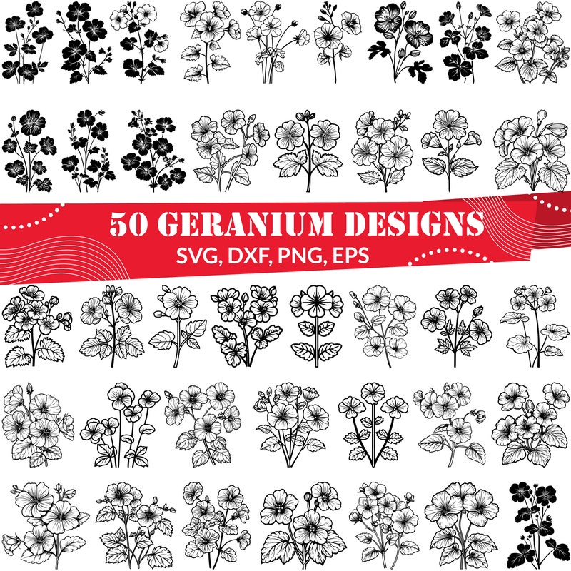 Geranium Clipart - Etsy