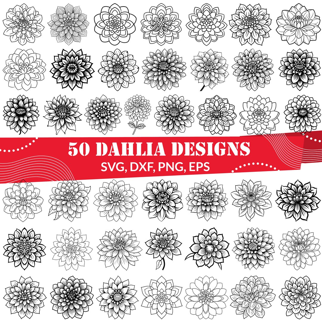 Dahlia SVG Bundle, Dahlia Line Art, Dahlia Dxf, Dahlia Png, Dahlia Eps ...