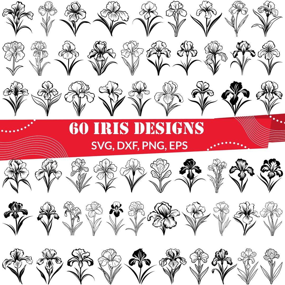 Iris SVG Bundle, Iris Line Art, Iris Flower Svg, Iris Dxf, Iris Png ...