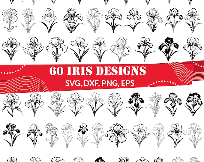 Iris Multi Bloom Line Art Black and White Bundle 4 30 Digital Line Art ...