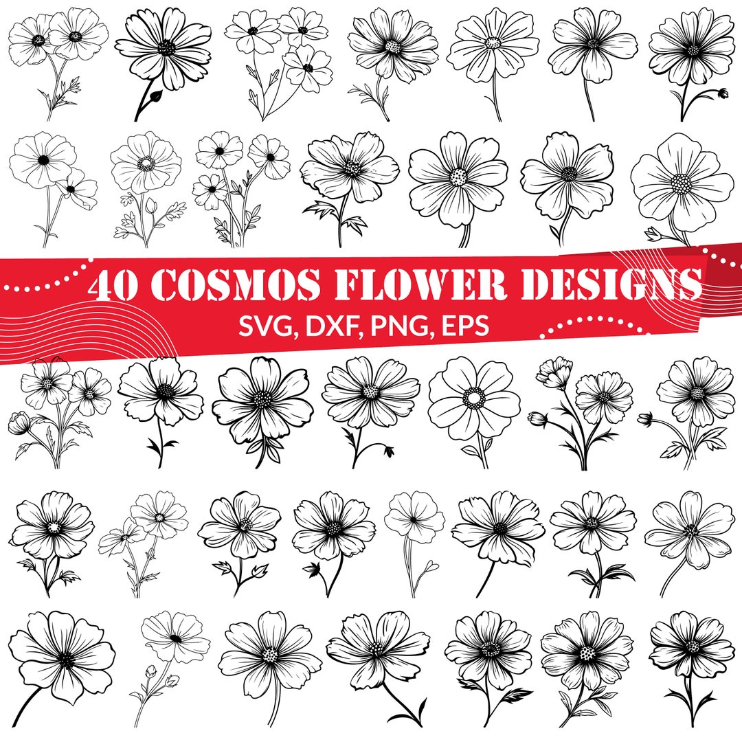 Cosmos Flower SVG | Wildflower Line Art Clipart PNG | Boho Botanical ...