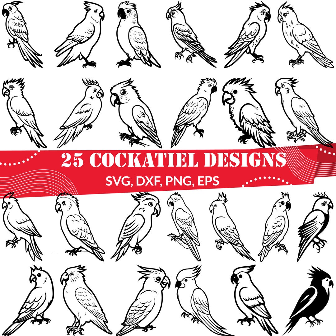 Cockatiel SVG | Parrot Clipart | Tropical Bird Design - Etsy