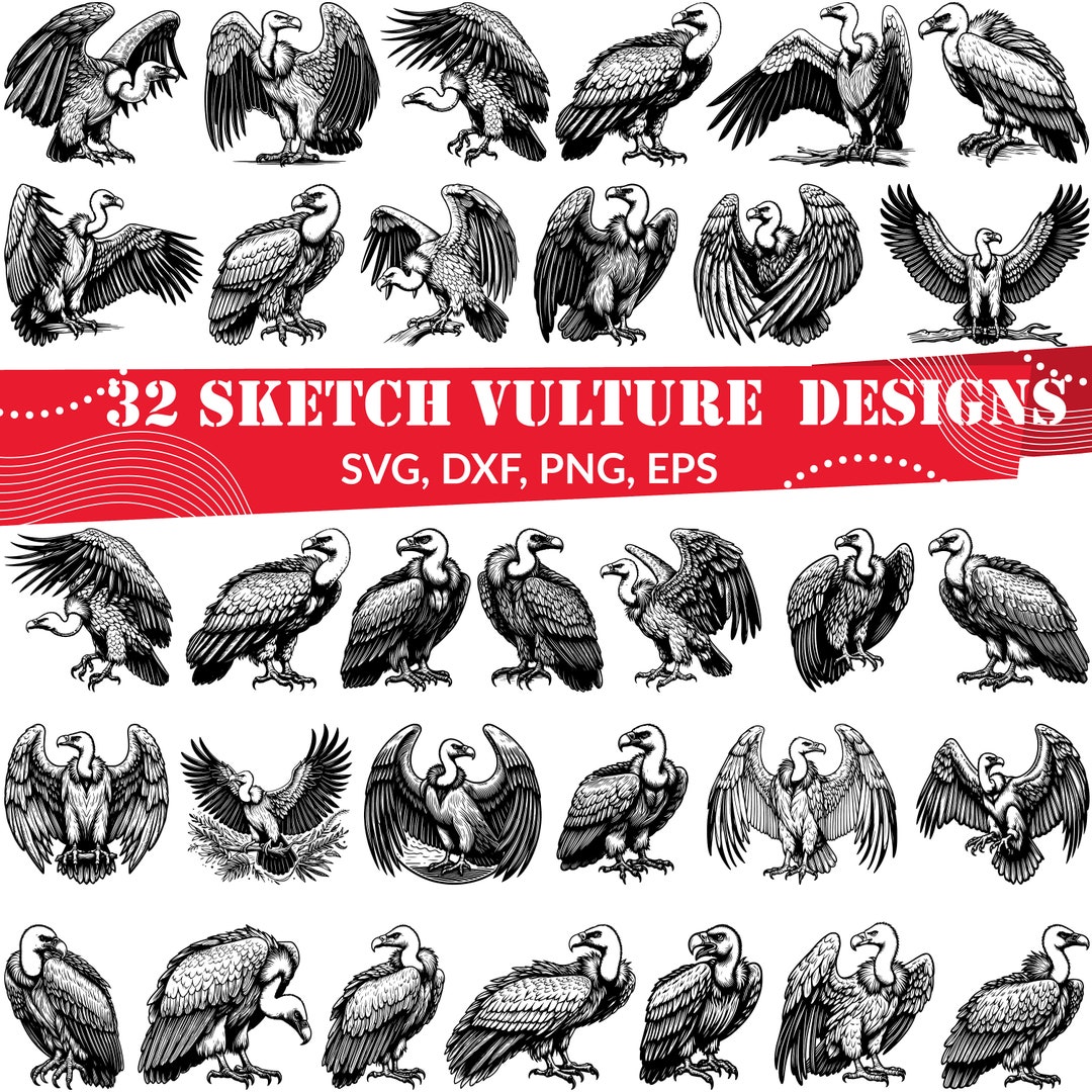 Sketch Vulture SVG Bundle, Floral Vulture Svg, Vulture Line Art, Cute Vulture Svg, Cute Vulture ...