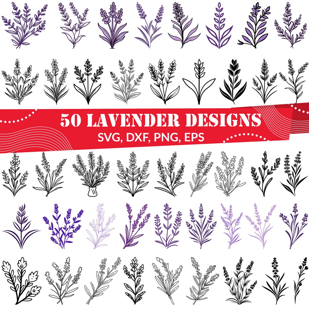 Lavender SVG Bundle, Lavender Dxf, Lavender Png, Lavender Vector ...