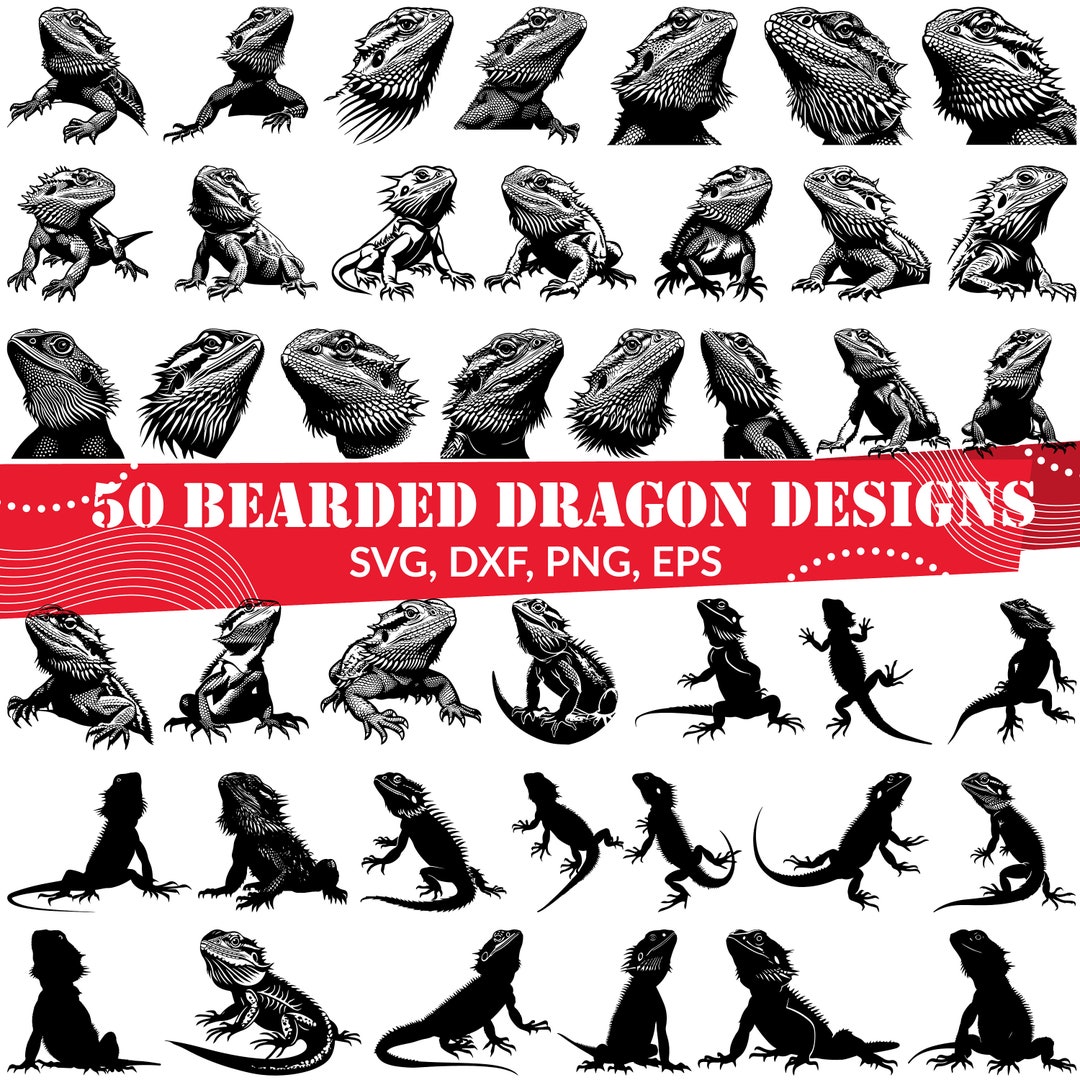 Bearded Dragon SVG Bundle, Bearded Dragon Dxf, Bearded Dragon Png ...