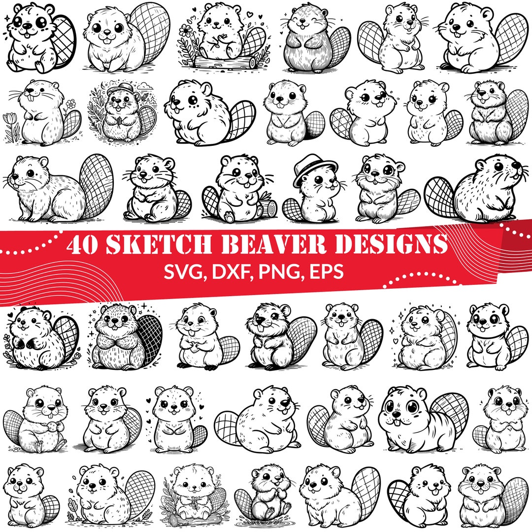 Sketch Beaver SVG Bundle, Floral Beaver Svg,beaver Line Art,wood Animal ...