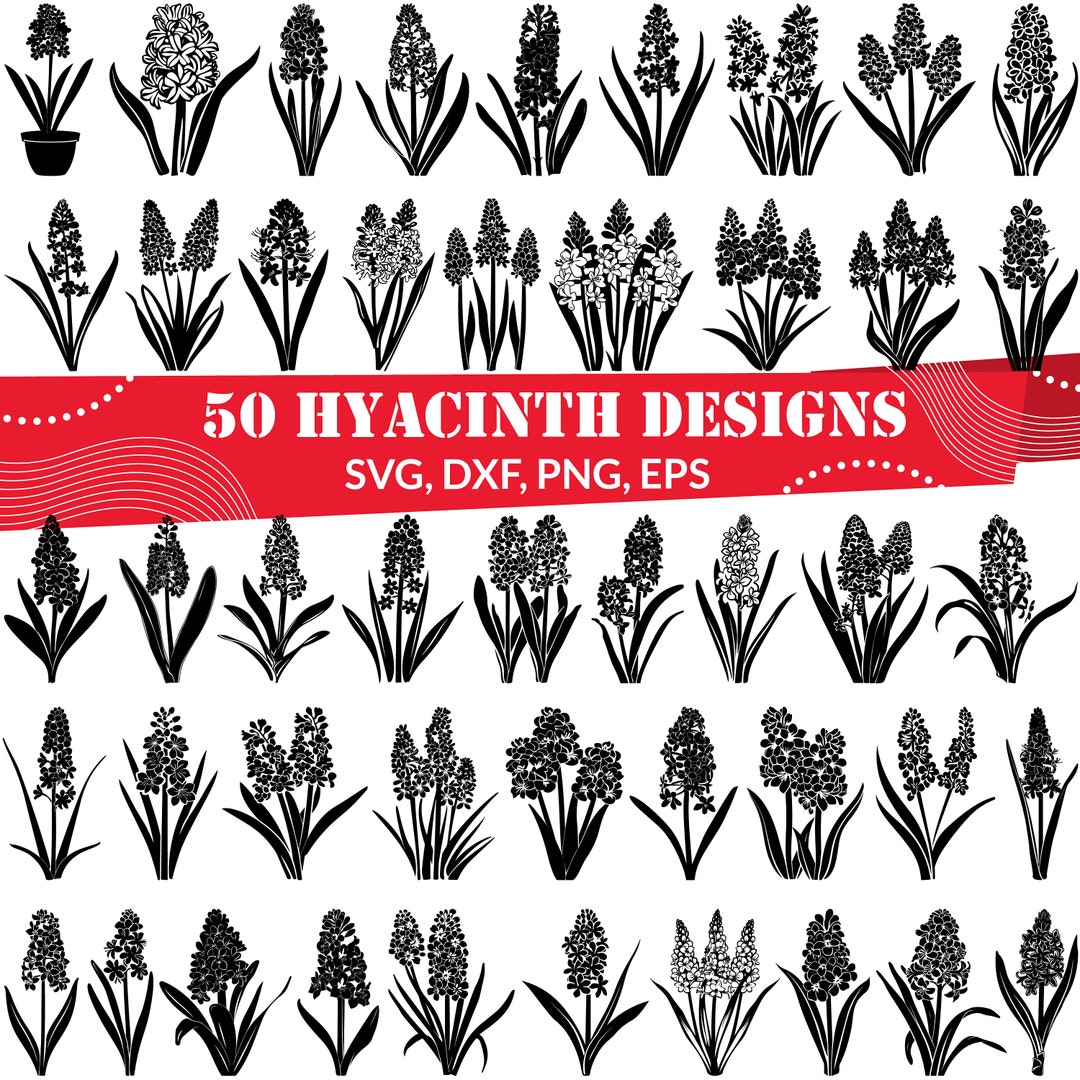 Hyacinth SVG Bundle, Hyacinth Dxf, Hyacinth Png, Hyacinth Vector ...