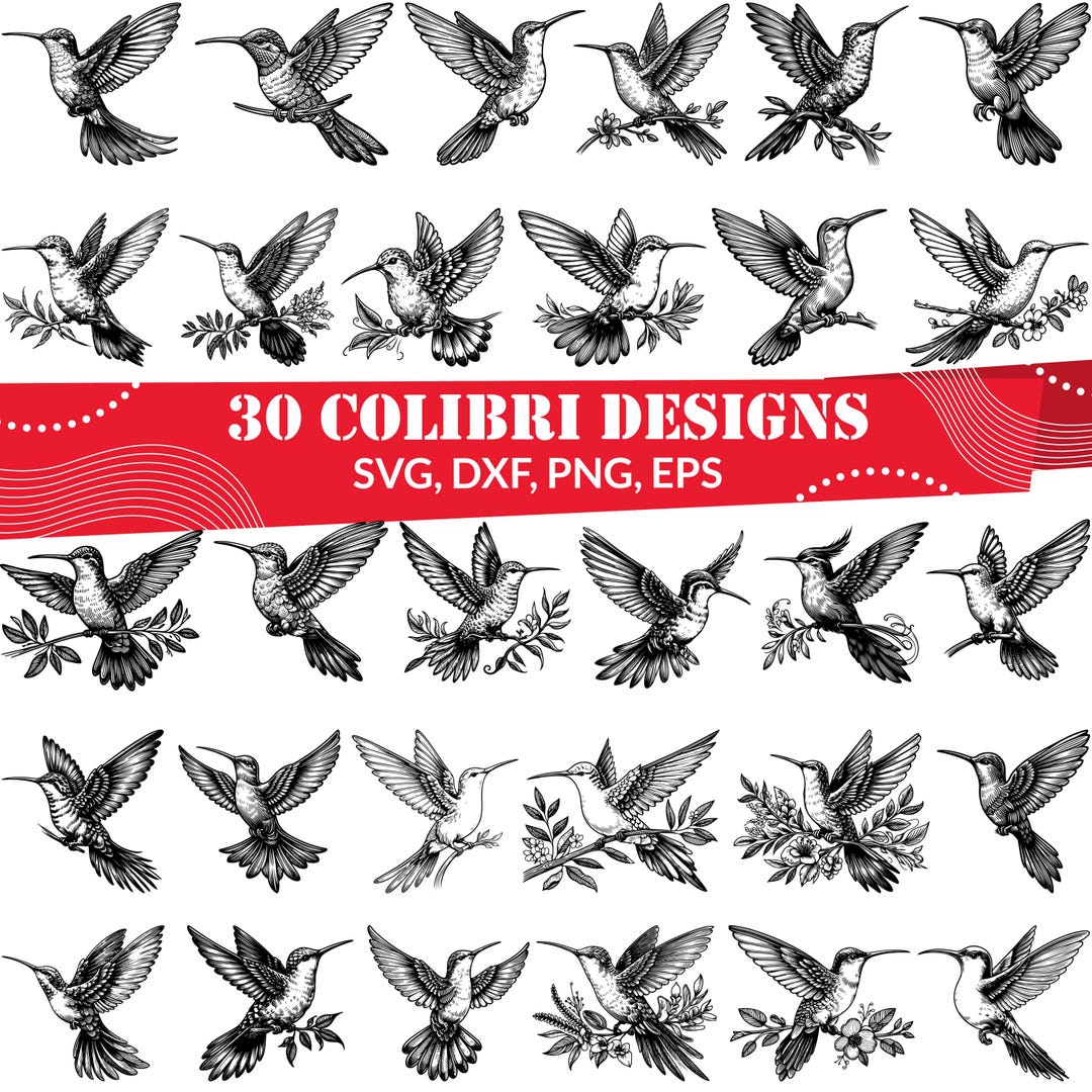 30 Colibri SVG Bundle, Hummingbird Clipart, Detailed Bird Silhouette ...