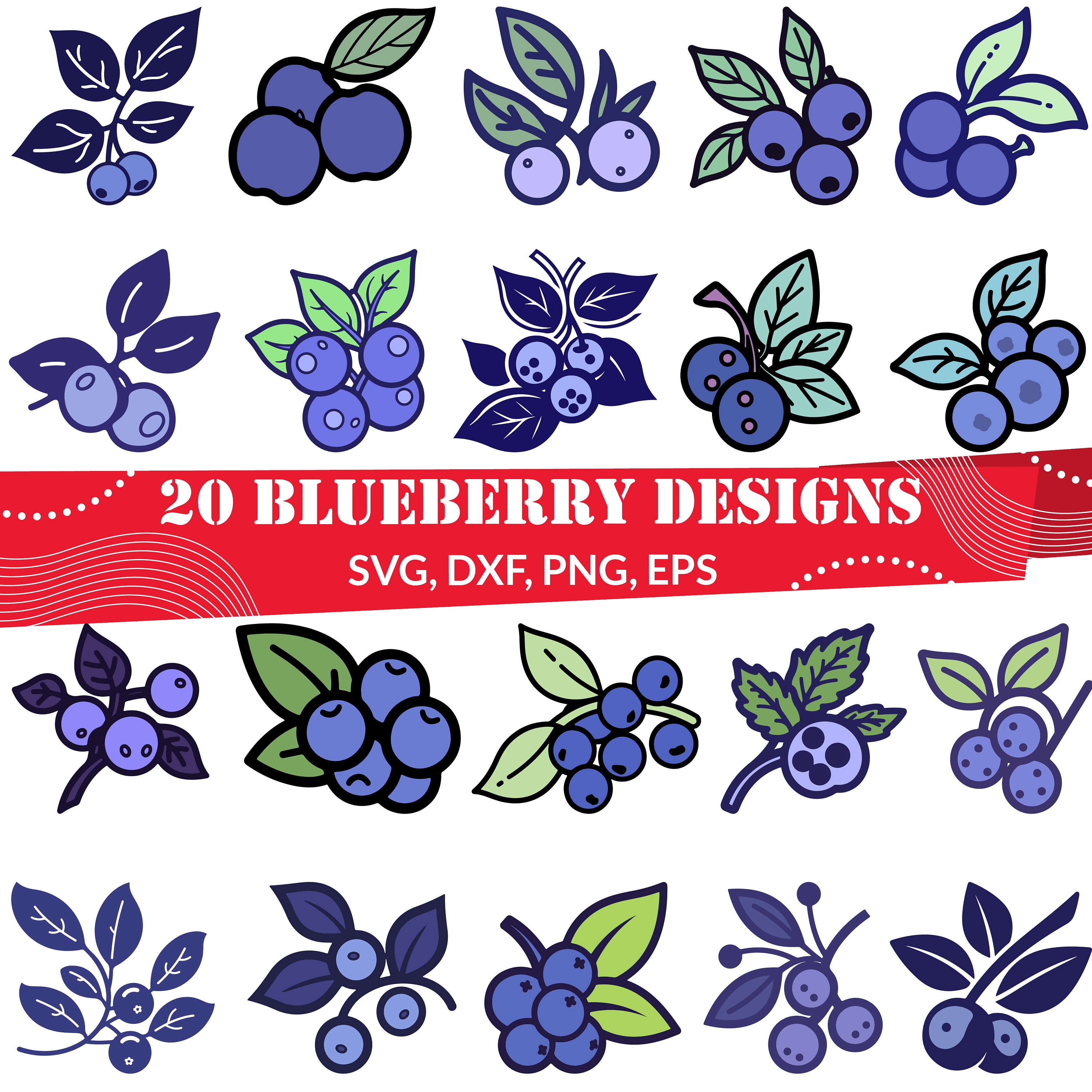 Blueberry SVG | Fruit Clipart | Botanical Berry Design - Etsy