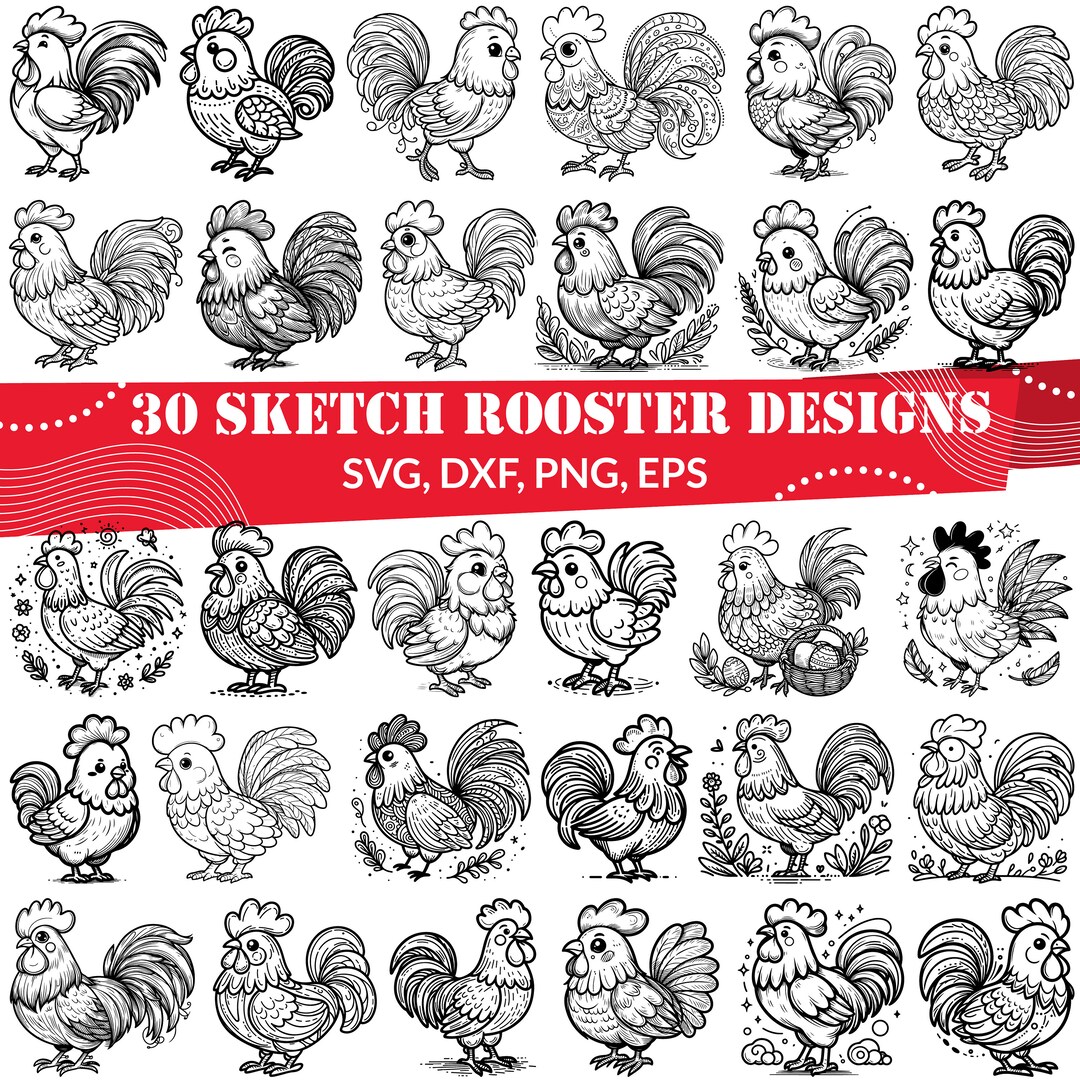 Sketch Rooster SVG Bundle, Floral Rooster Svg, Rooster Line Art, Farm ...