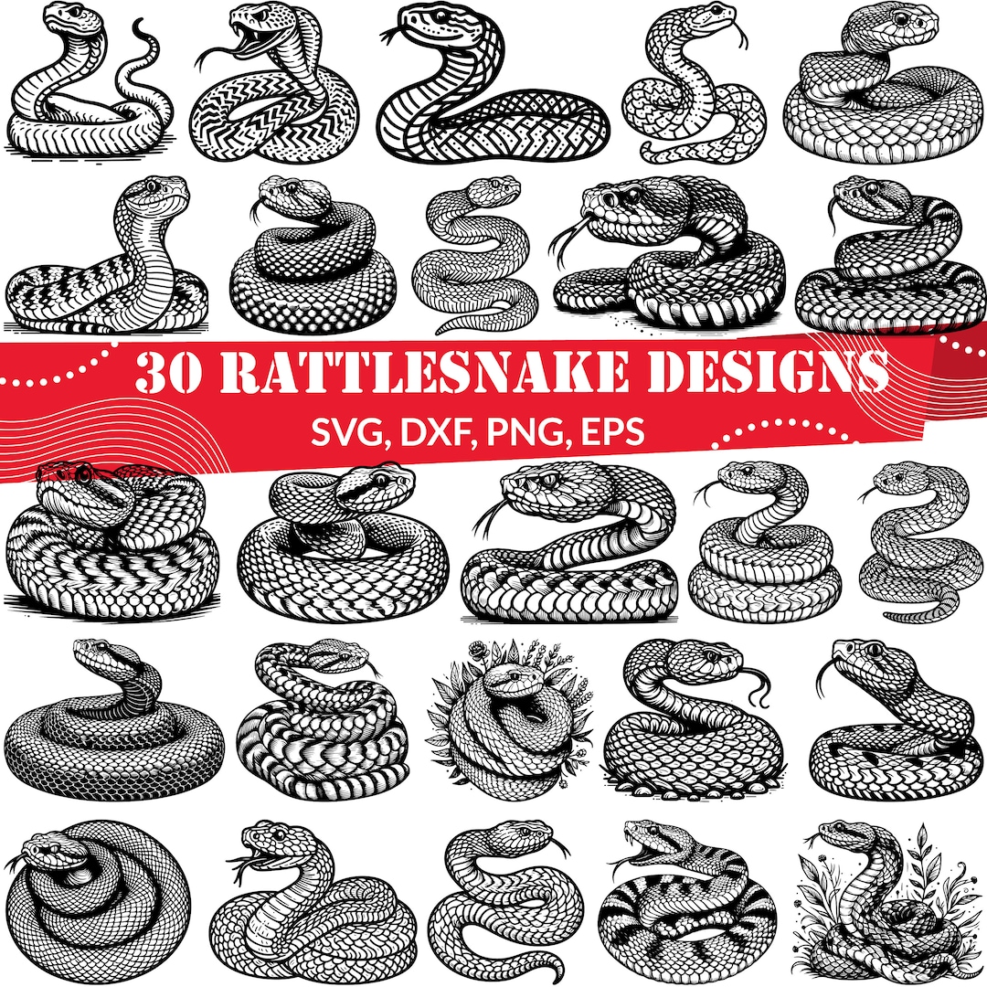 Rattlesnake SVG Bundle, Rattlesnake Dxf, Rattlesnake Png, Rattlesnake ...