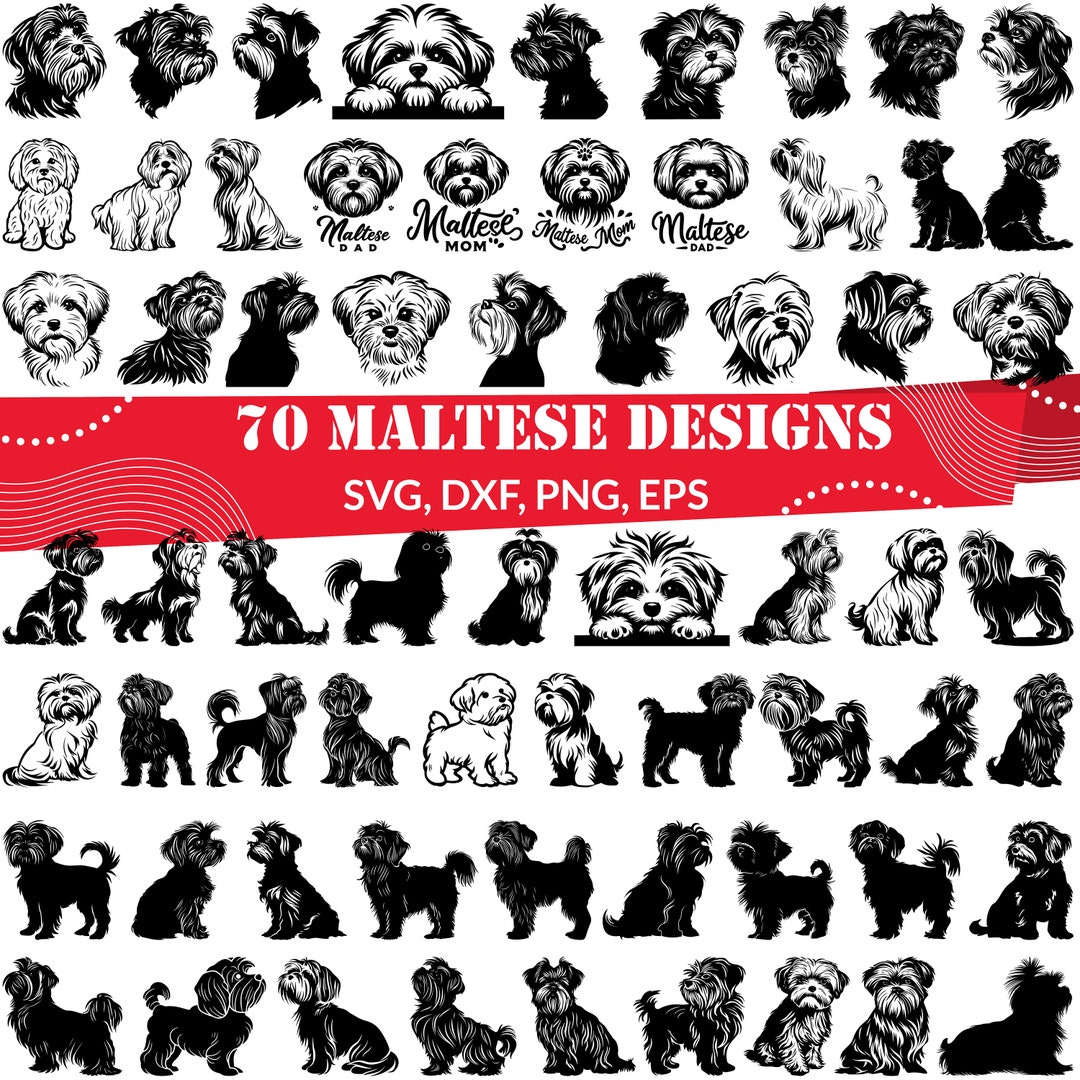 Maltese SVG Bundle, Maltese Dxf, Maltese Png, Maltese Vector, Maltese ...
