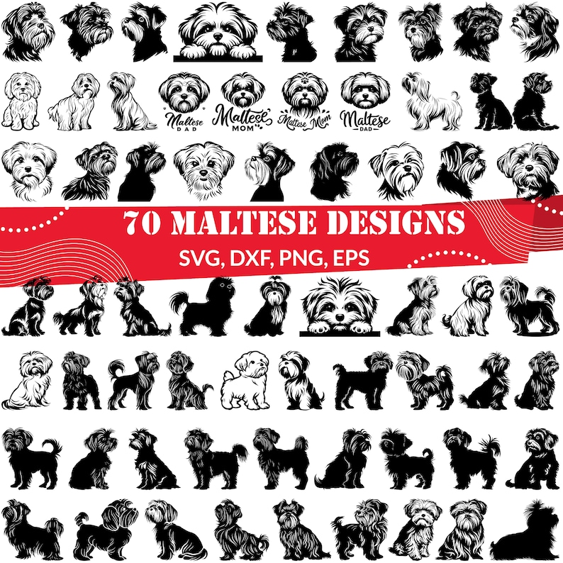 Maltese SVG Bundle, Maltese Dxf, Maltese Png, Maltese Vector, Maltese ...