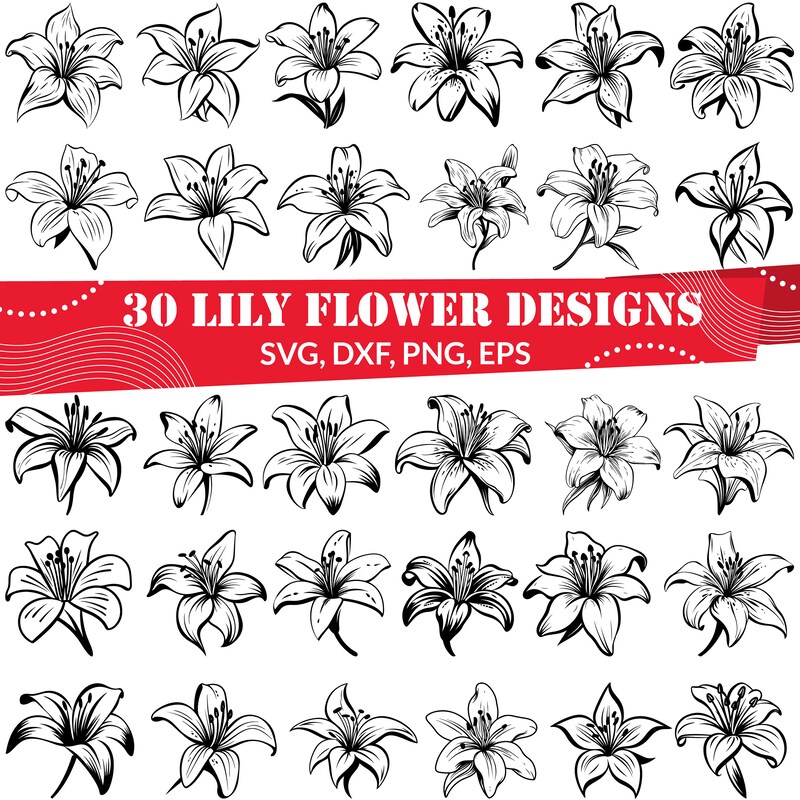Lily Svg - Etsy