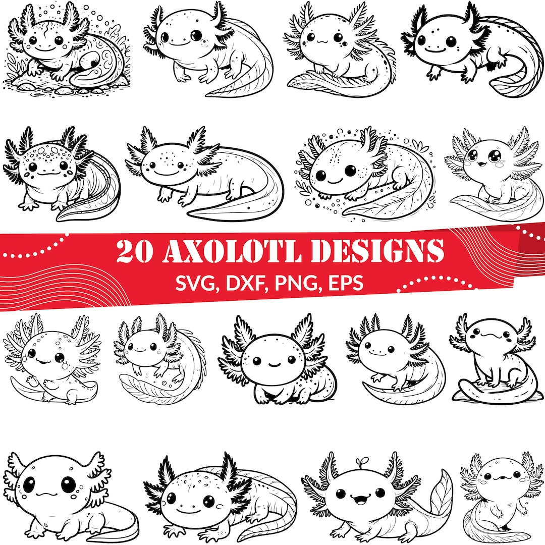 Axolotl SVG Bundle, Cartoon Axolotl,floral Axolotlsvg, Axolotl Line Art ...