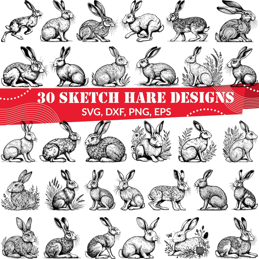 Sketch Hare SVG Bundle, Floral Hare Svg, Hare Dxf, Bacon Png, Hare ...