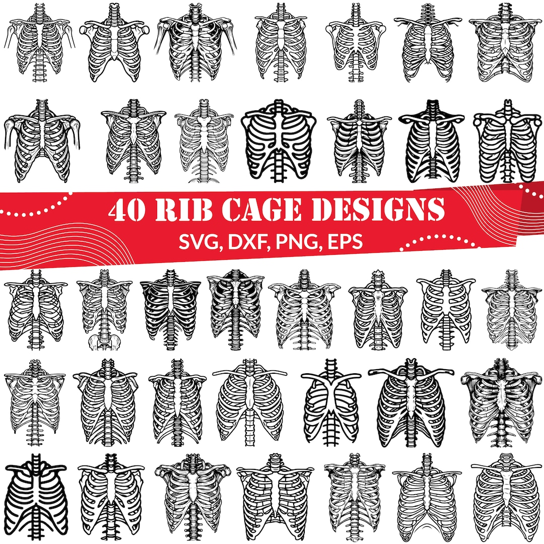 Rib Cage SVG Bundle, Human Skeleton Svg, Rib Cage Dxf, Rib Cage Png ...