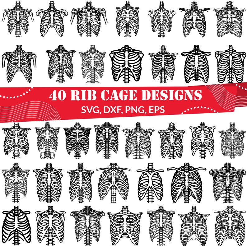 Rib Cage SVG Bundle, Human Skeleton Svg, Rib Cage Dxf, Rib Cage Png ...
