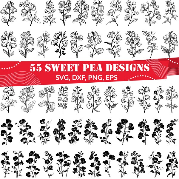 Sweet Pea Outline Clipart - Etsy