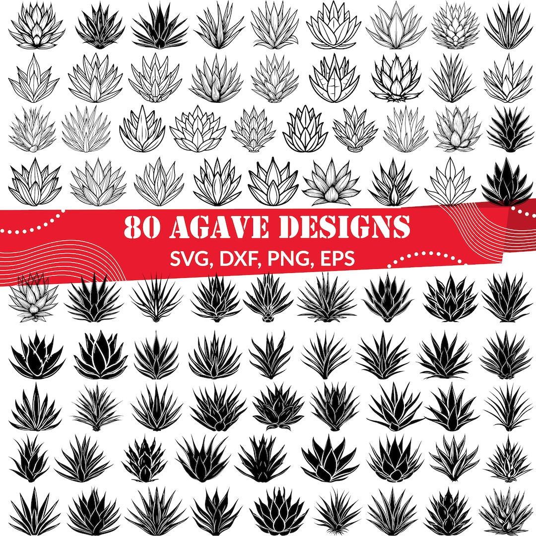 Agave SVG Bundle, Agave Dxf, Agave Png, Agave Vector, Agave Outline ...