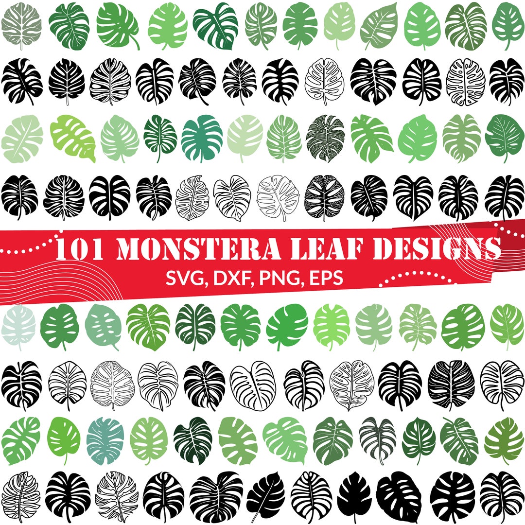Monstera Leaf SVG Bundle, Tropical Leaves Svg, Tropical Leaf Svg,jungle ...