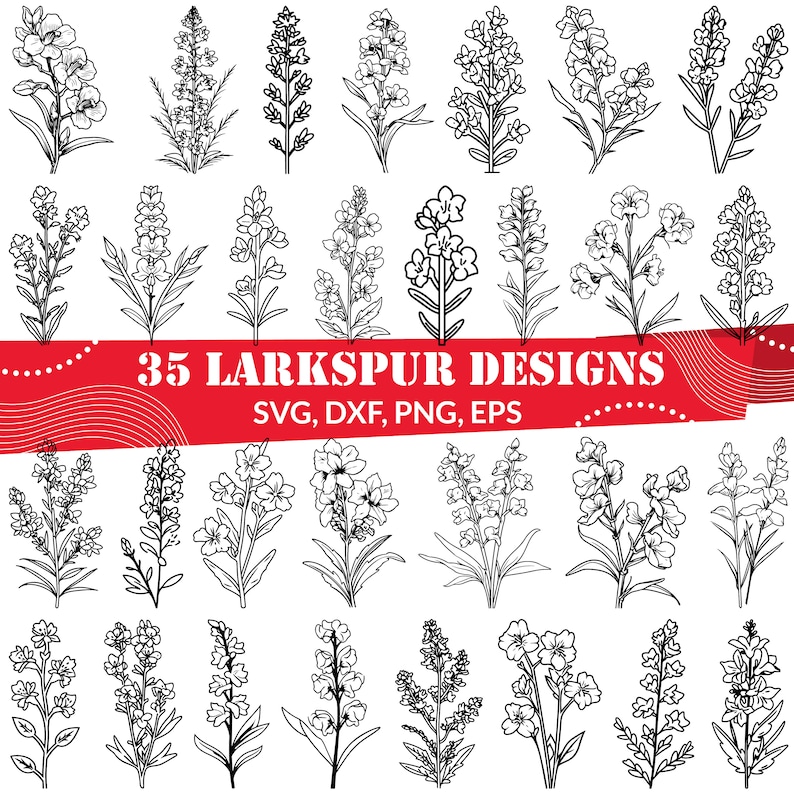 Larkspur SVG | Elegant Larkspur Flower Clipart | Botanical Floral ...