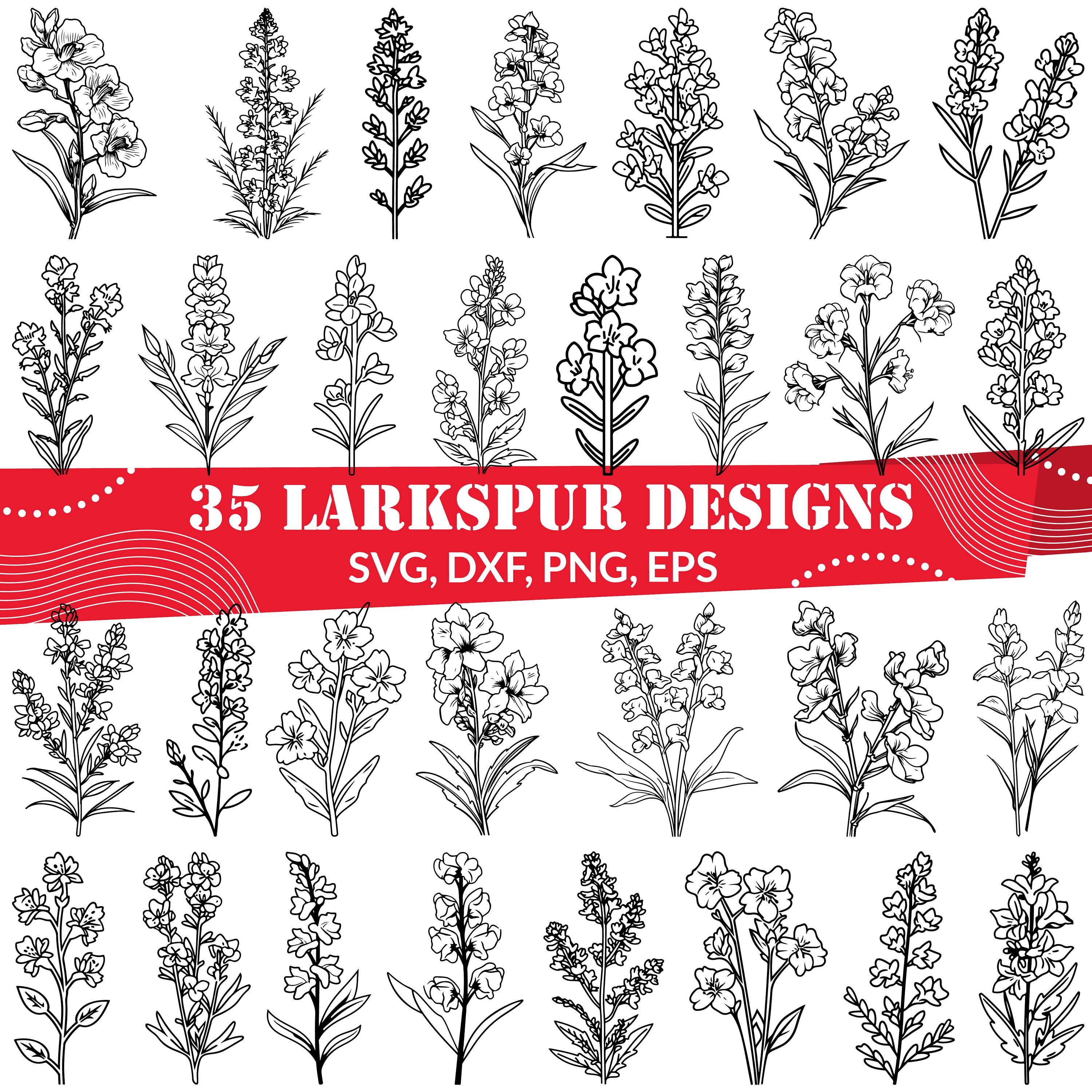 Larkspur SVG | Elegant Larkspur Flower Clipart | Botanical Floral ...