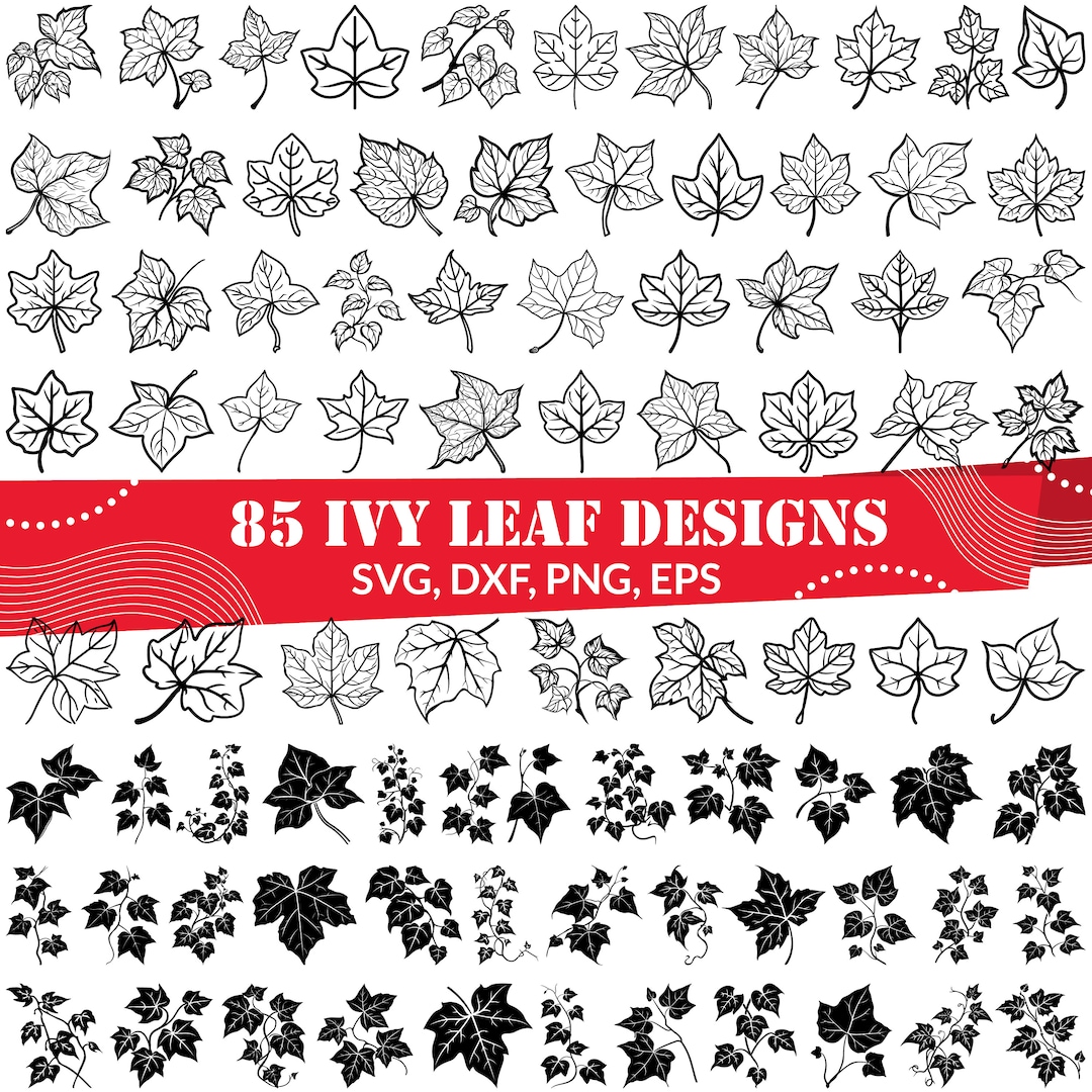 Ivy Leaf SVG Bundle, Ivy Leaf Dxf, Ivy Leaf Png, Ivy Leaf Vector, Ivy ...