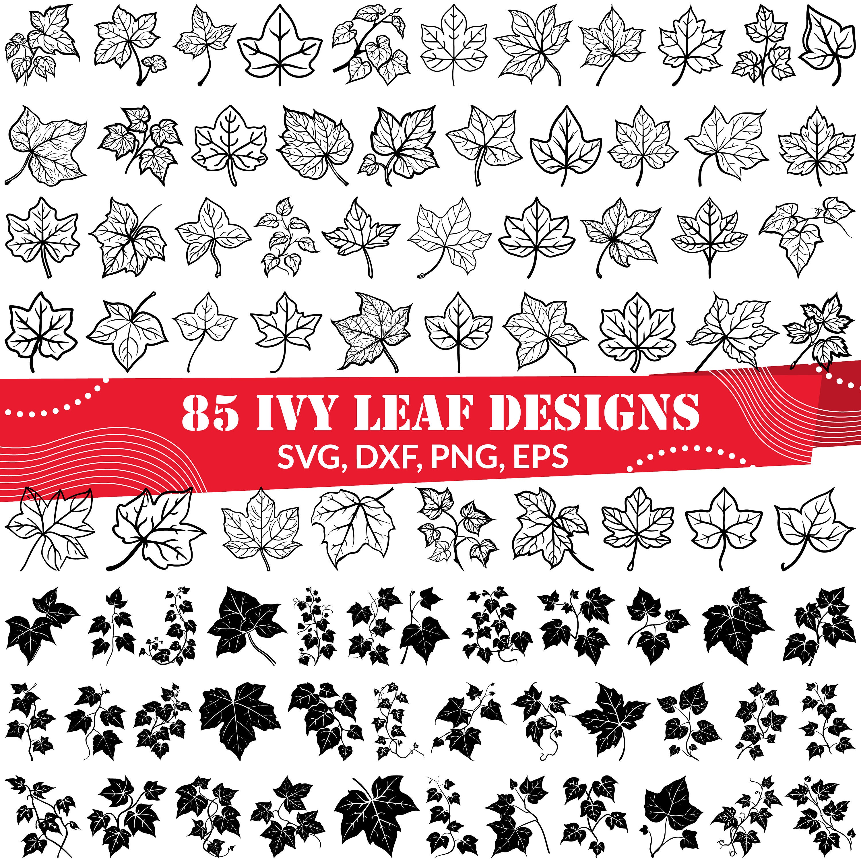 Ivy Leaf SVG Bundle, Ivy Leaf Dxf, Ivy Leaf Png, Ivy Leaf Vector, Ivy ...