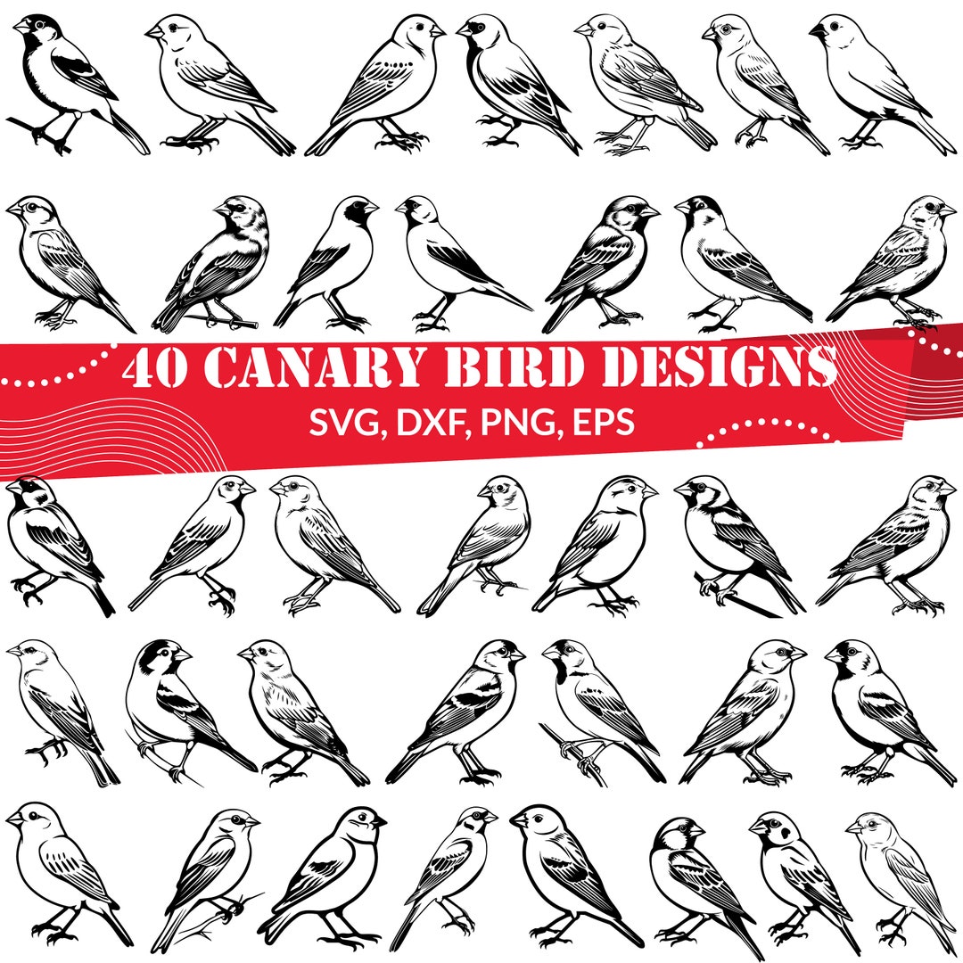 Canary Bird SVG | Elegant Songbird Clipart | Nature & Wildlife Design ...